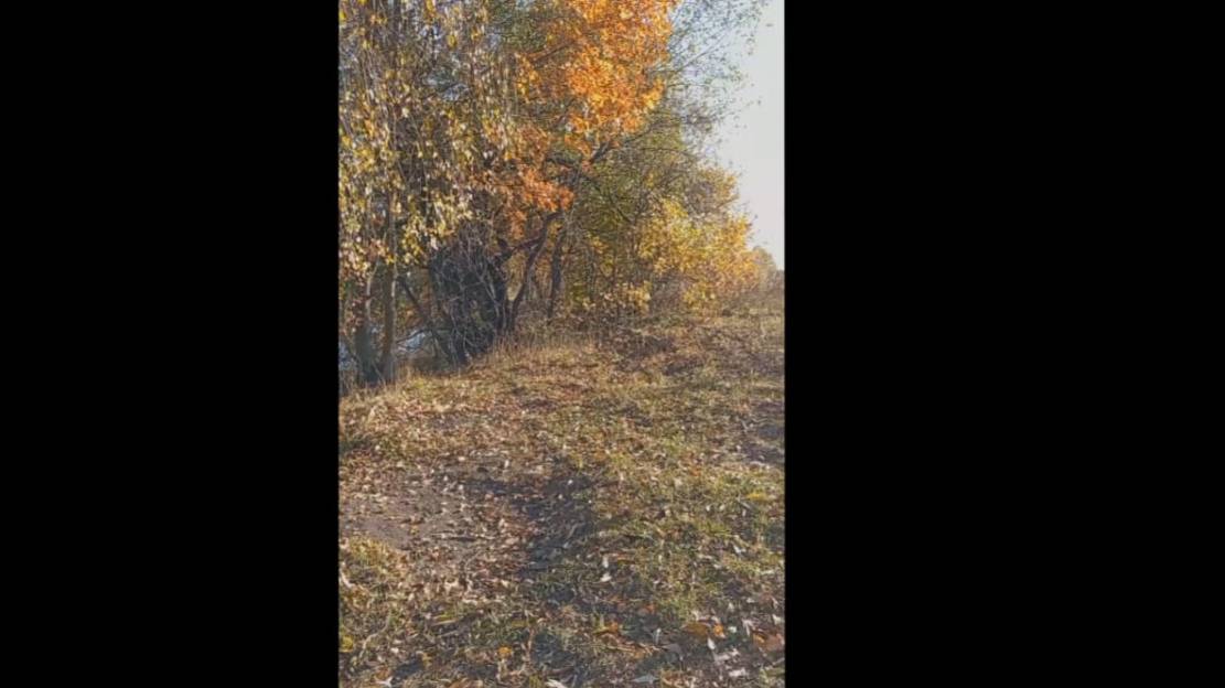 Письмо на испанском уровень А1