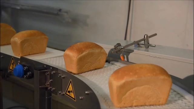 Конвейер прямоходный в исполнении с поворотным