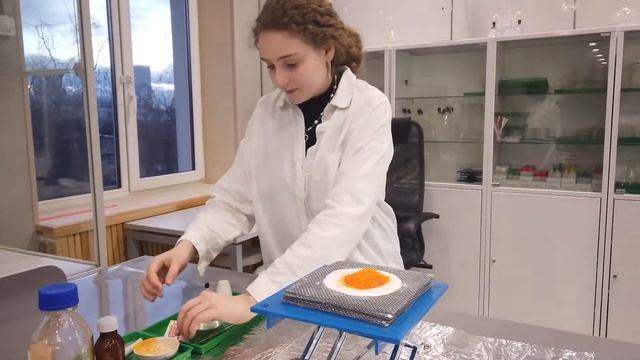 Школа "Дмитровский" - День открытых дверей (19.02.2022)