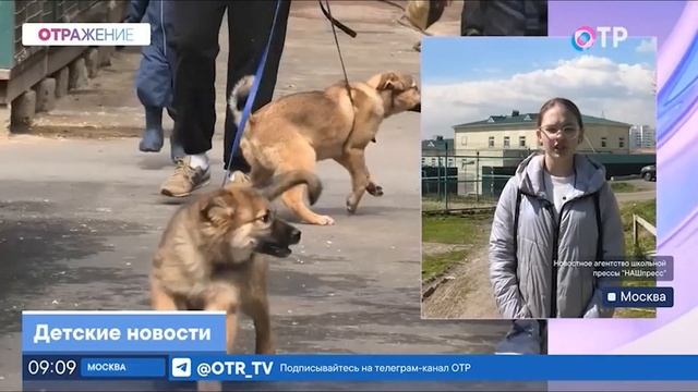 Детские новости на ОТР.  Выпуск 28.05.2023