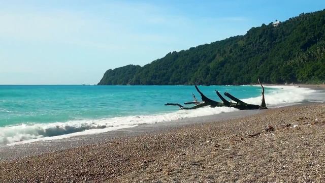 1778819-hd_1280_720_30fps