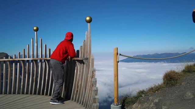 2021657-hd_1920_1080_24fps