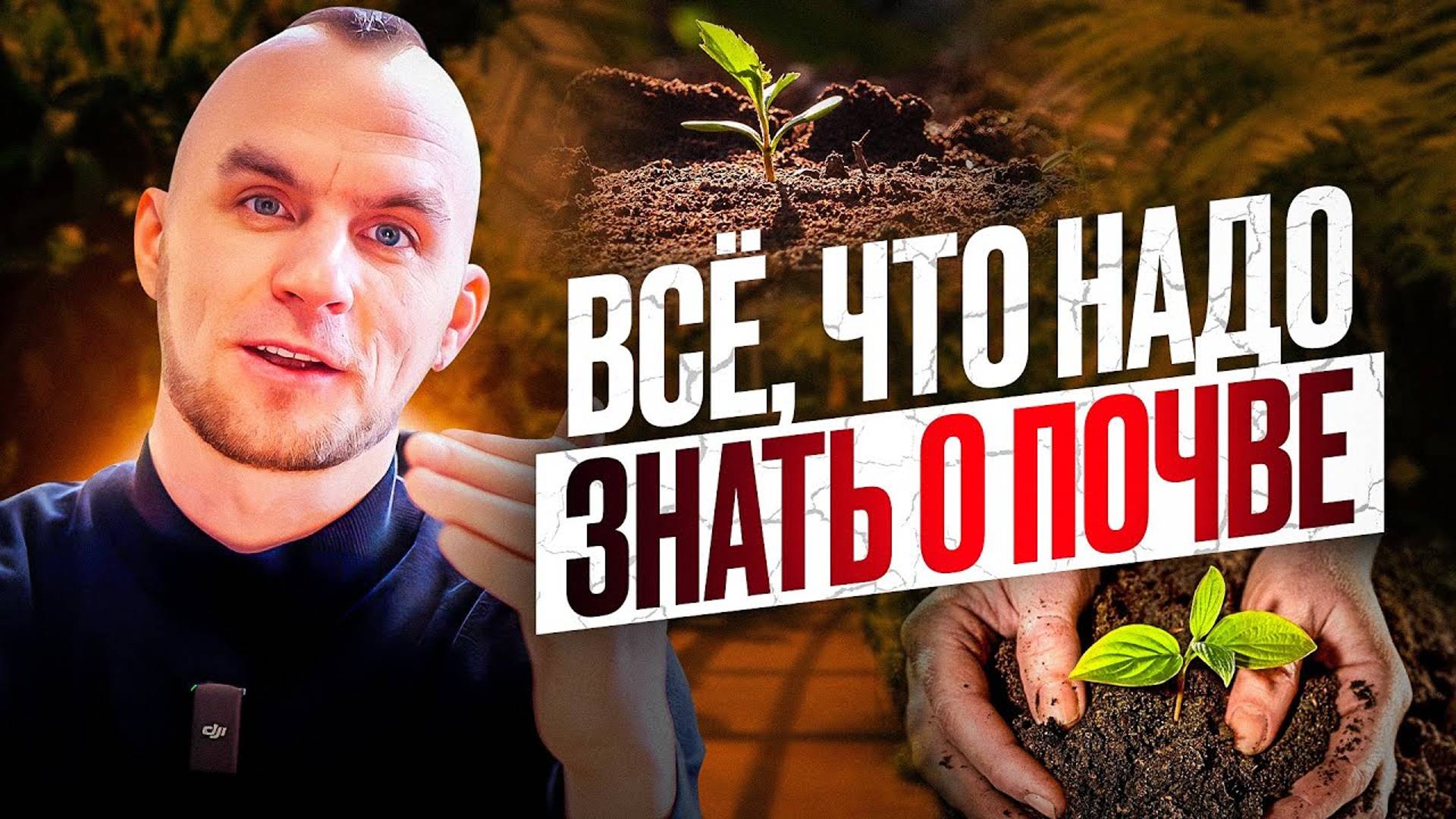 САМОЕ ВАЖНОЕ ПРО ПОЧВУ! КАК ПОВЫСИТЬ УРОЖАЙНОСТЬ И ВОССТАНОВИТЬ ПЛОДОРОДИЕ ЗЕМЕЛЬ