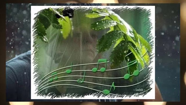 Новинка : Взойдет музыка дождя