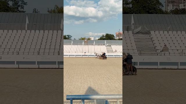 Лето на коне I Кони ВДНХ