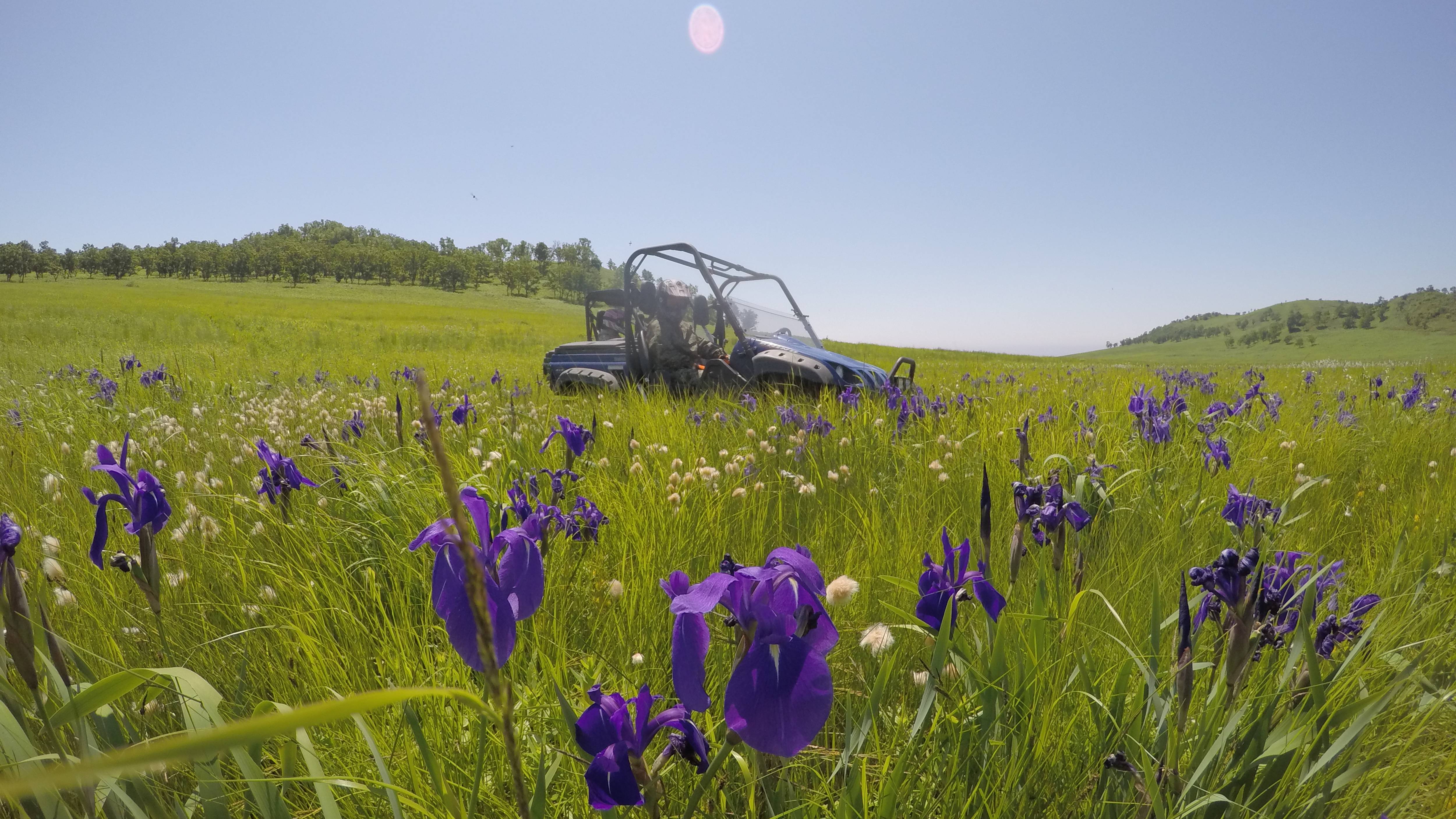 Полуо́стров Кра́ббе   YAMAHA  RHINO 700