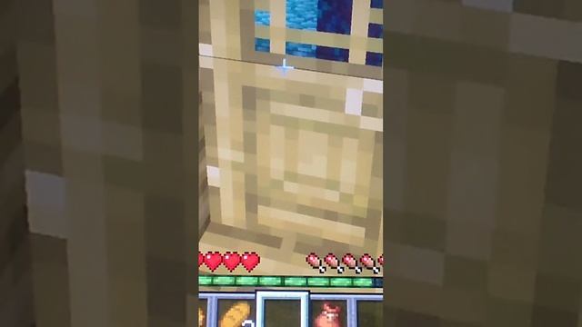 shorts нашёл радужную деревню