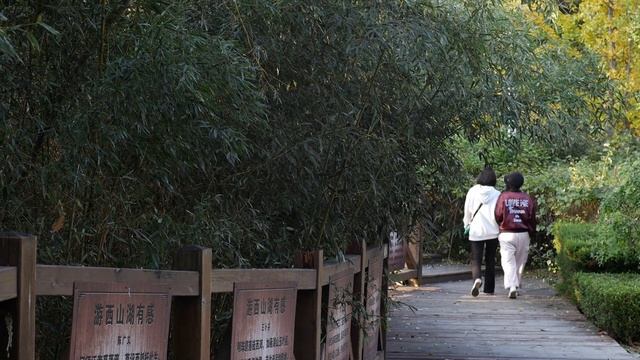 12641774_1920_1080_30fps