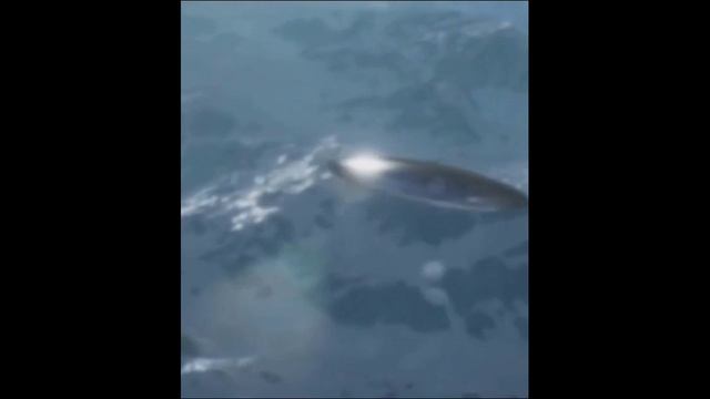 Россия, Алтайский край, 2022 год