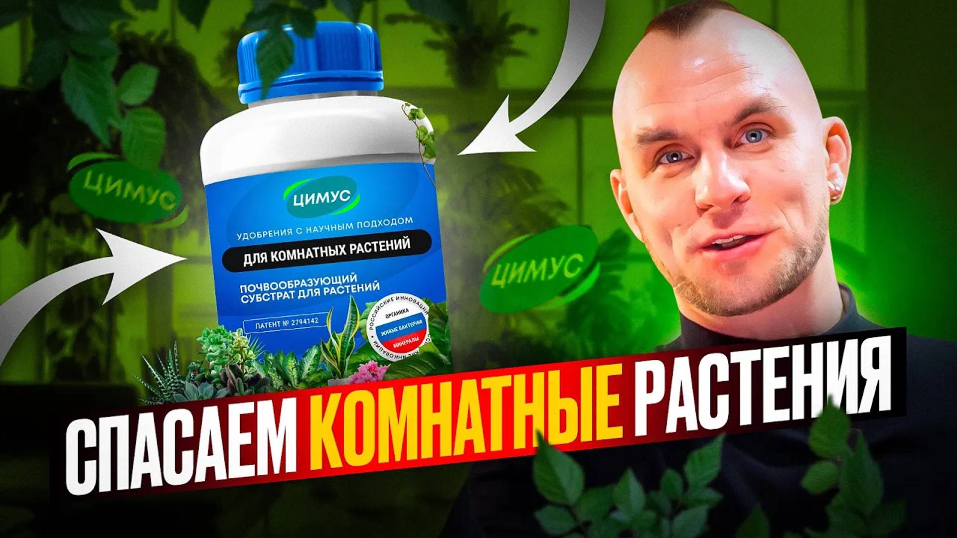 Лучшая подкормка для комнатных растений. Инструкция для удобрения для комнатных растений ЦИМУС