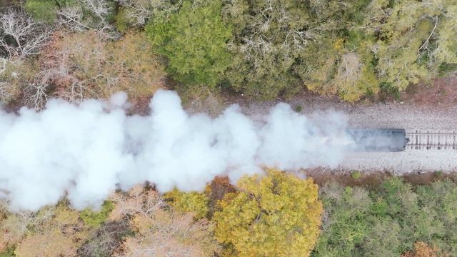 12622490_3840_2160_24fps