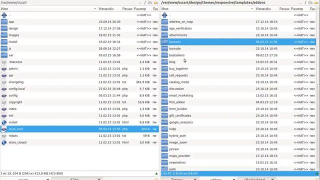 1.1 CS-Cart: Режим разработчика в CS-Cart