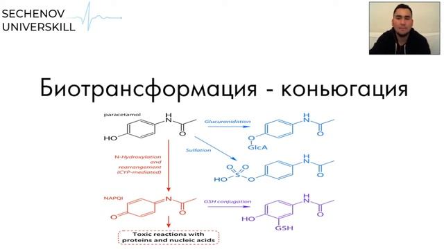 Фармакология | Фармакокинетика. Биотрансформация