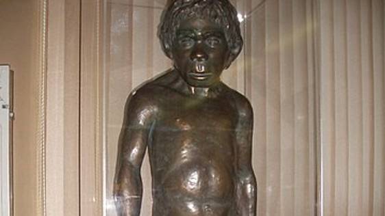 #29 Человечество в эпоху палеолита. Часть 11. Неандертальцы