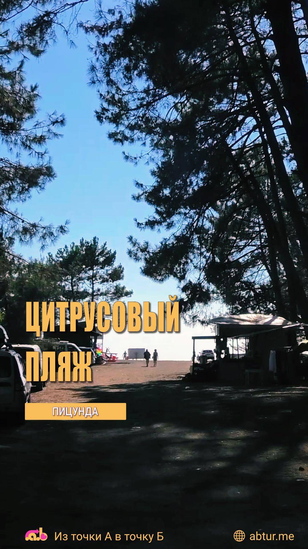 Пляж посёлка Цитрусовый. Пицунда, Абхазия