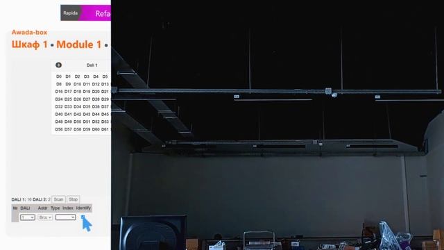 How can you check the functionality of DALI lights and sensors