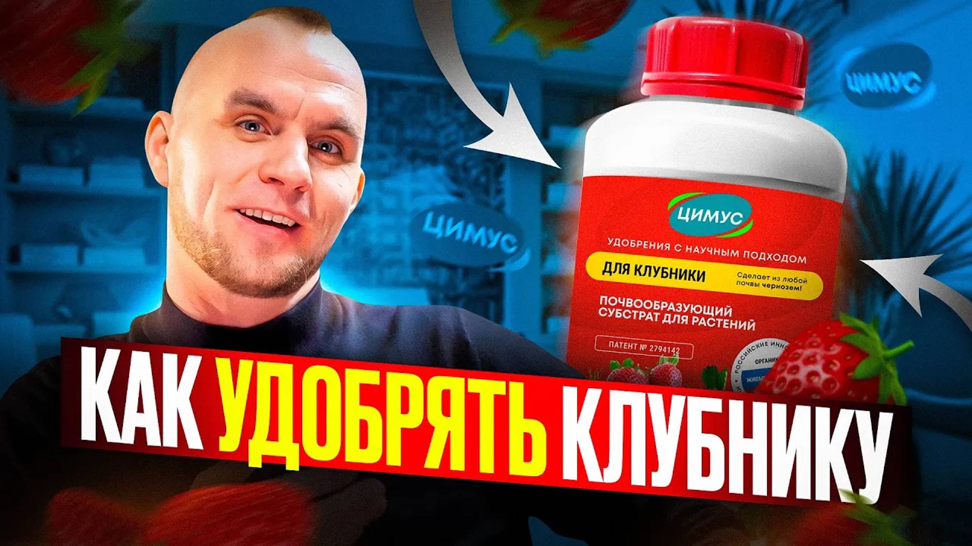 Супер подкормка для клубники. Инструкция по применению удобрения для клубники и земляники ЦИМУС