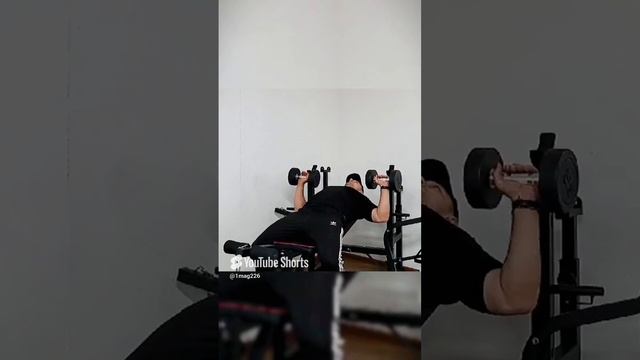 Как Правильно Делать Жим Лёжа? #инвентарь #спорт #спортивноетело