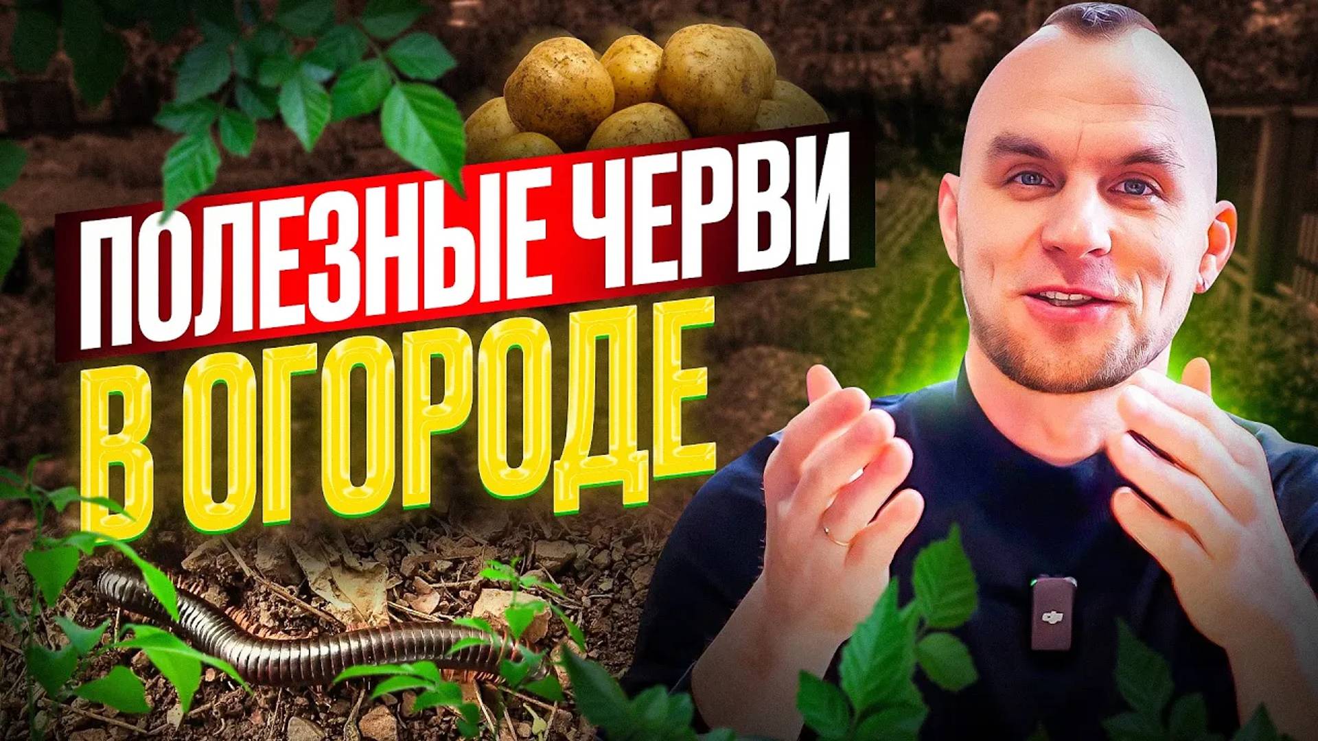 Черви в огороде Как увеличить урожай и чем полезны черви. Всё о выращивании червей