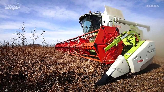 CLAAS TUCANO 570 - Отзыв от главного агронома КФК Луч, Амурская область