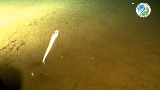 Фильм БМ Объект всемирного наследия 2015 год