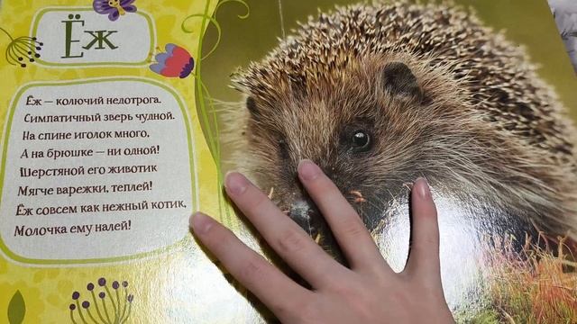 прогуляли окружающий мир 🌏🌐✌