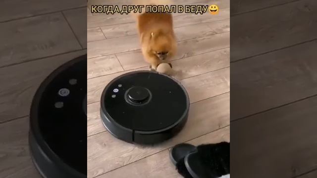 Я спасу тебя