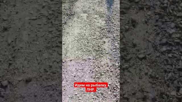 Идём на рыбалку #рыбалка #рыбаки #нарыбалке
