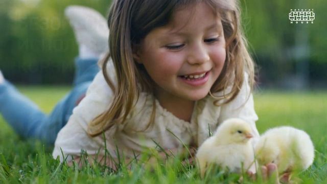 Natural House_Серия корзин для хранения "Колокольчик"