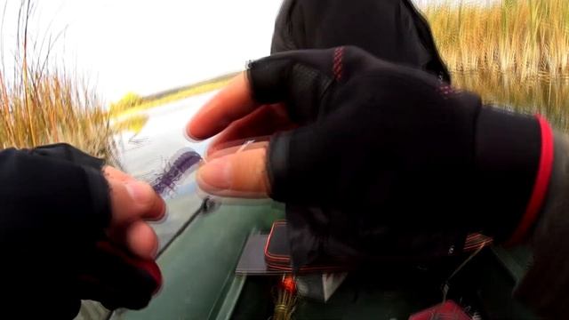 Осенний окунь на микроджиг l Конкурс на розыгрыш катушки