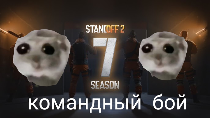 играю в командный бой