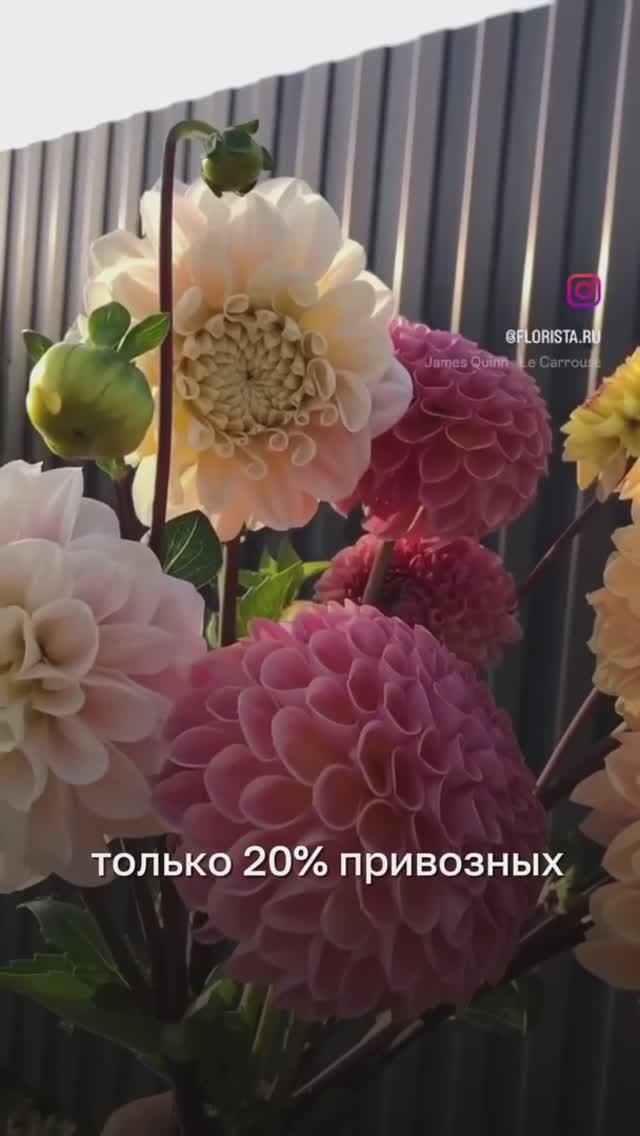 Плюсы собственной цветочной фермы