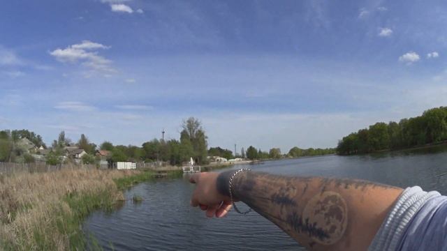 БОМБАРДА СБИРУЛИНО l Что это такое и как на неё ловить? l Ловля на мушки