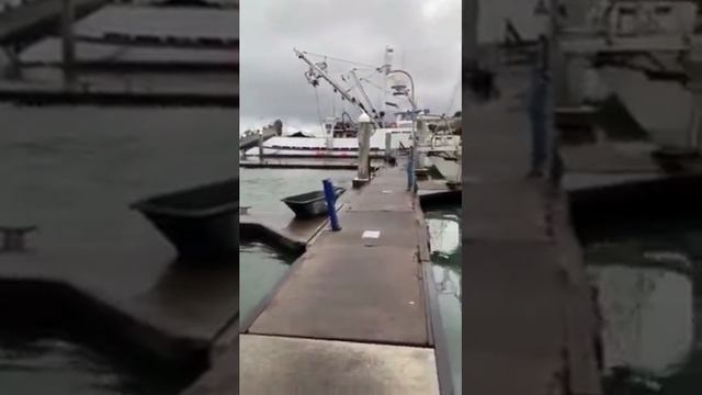Отдать честь капитану!
