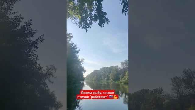 Работайте братья #работайтебратья #нарыбалке #рыбак
