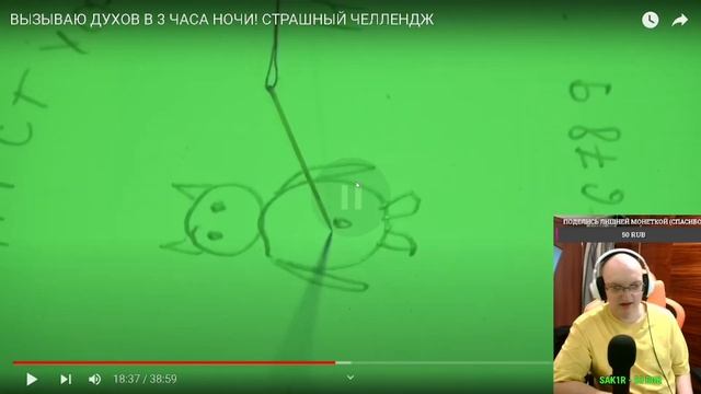 Реакция Пчелы на ДАНИКА ВЫЗЫВАЮ ДУХОВ В 3 ЧАСА НОЧИ! СТРАШНЫЙ ЧЕЛЛЕНДЖ