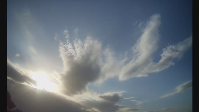 НН#15. Жизнь Самурая. 2024.10.23