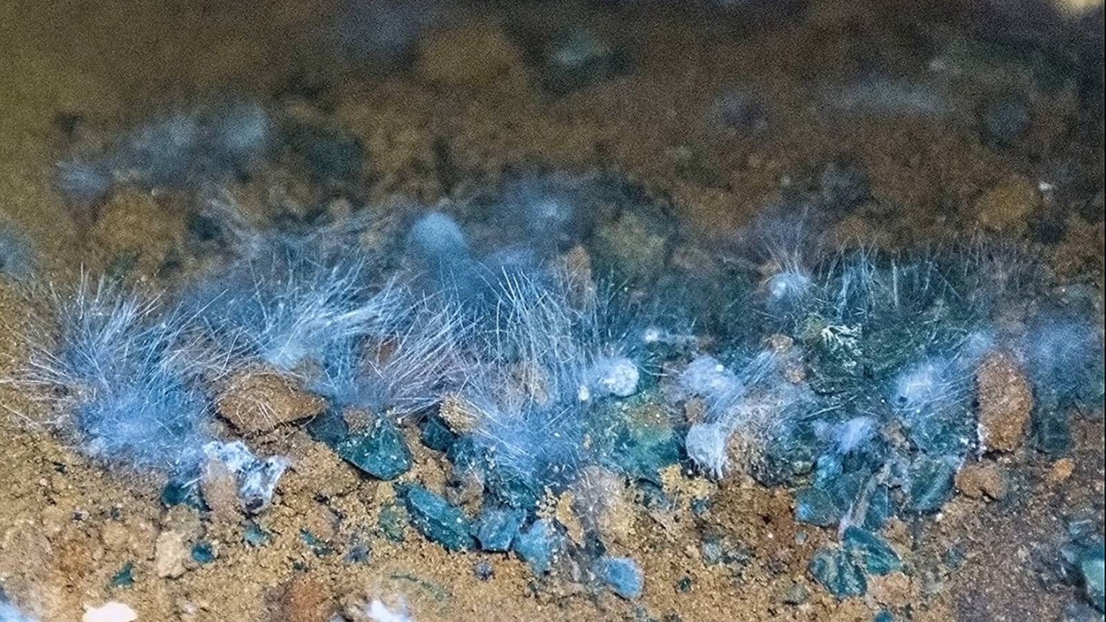 1) Ухтымское месторождение. Вятская губерния. Богородский район.