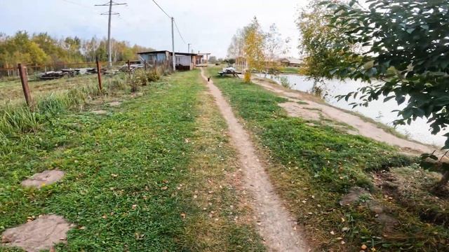 Форель на спиннинг в подмосковье. Рыбалка на форель осенью