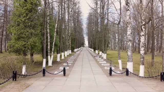 Путешествие в Питер с сумками и с Умкой / 7 эпизод