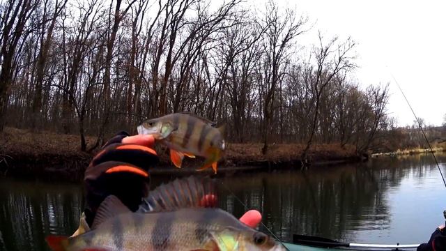 МИКРОДЖИГ и поиск пассивного ОКУНЯ на малой реке l Спиннинг в конце ноября l Рыбалка в лодке