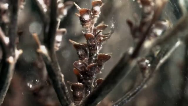 Лишь Твоя любовь/Оксана Светличная