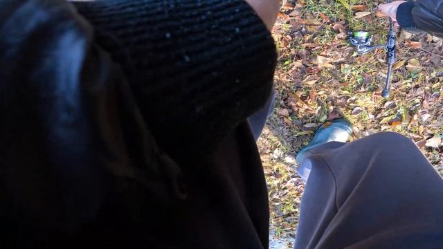 Трудовой поиск окуня  на спиннинг в ноябре l Подмосковье