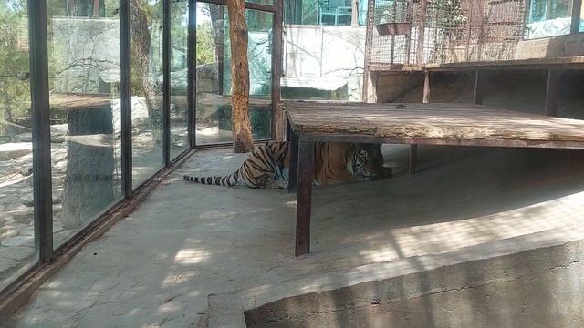 Анапа 2024 3 Часть