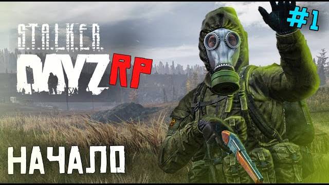 КАК-ТО РАЗ Я ЗАШЁЛ В DAYZ STALKER RP. Путь НОВИЧКА . 1 серия (Перезалив MALAMADROS LIFE)