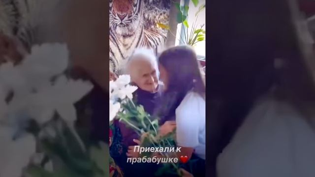 Приехали к бабушке