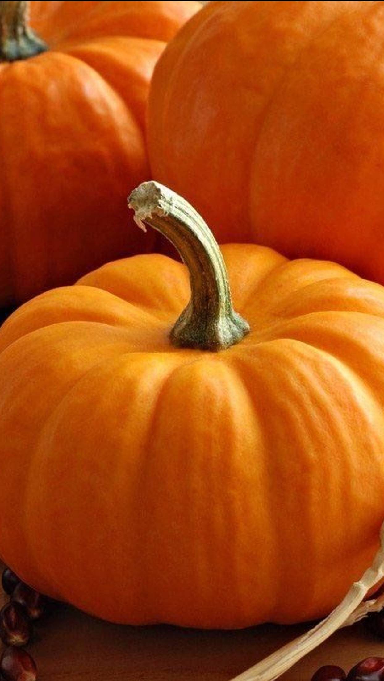 Тыква, варить или запекать ?
#тыква