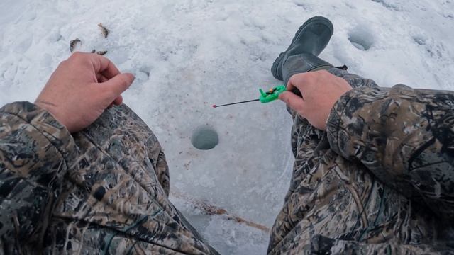 Попал на раздачу окуня в глухозимье l Первый раз на этом месте