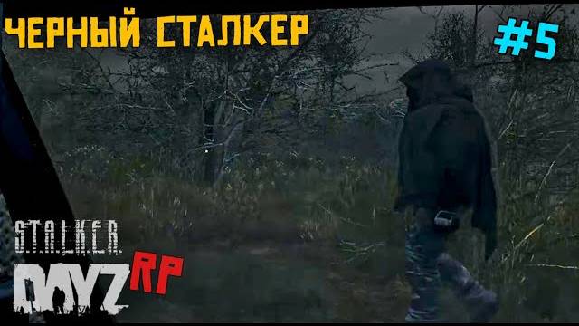 КАК Я ЧЁРНОГО СТАЛКЕРА ВСТРЕТИЛ. DAYZ STALKER RP 5 серия (Перезалив MALAMADROS LIFE)