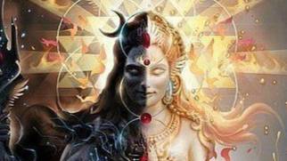 Бхарат 5 часть. Рынок Мапса. Индия.#сезонконтентаRUTUBE